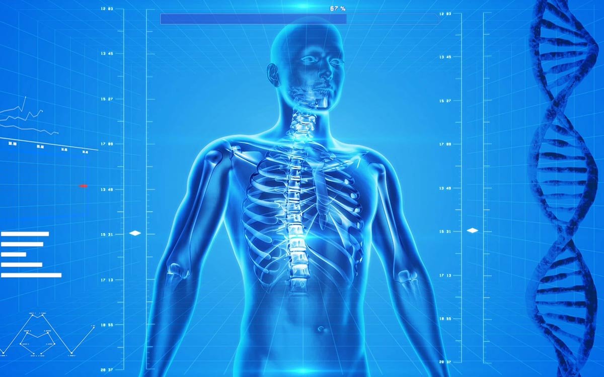 The Physical Body – A Biological Computer - The Path To Oneness