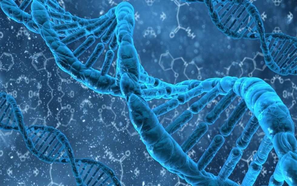 Happiness and the Soul’s DNA - The Path To Oneness